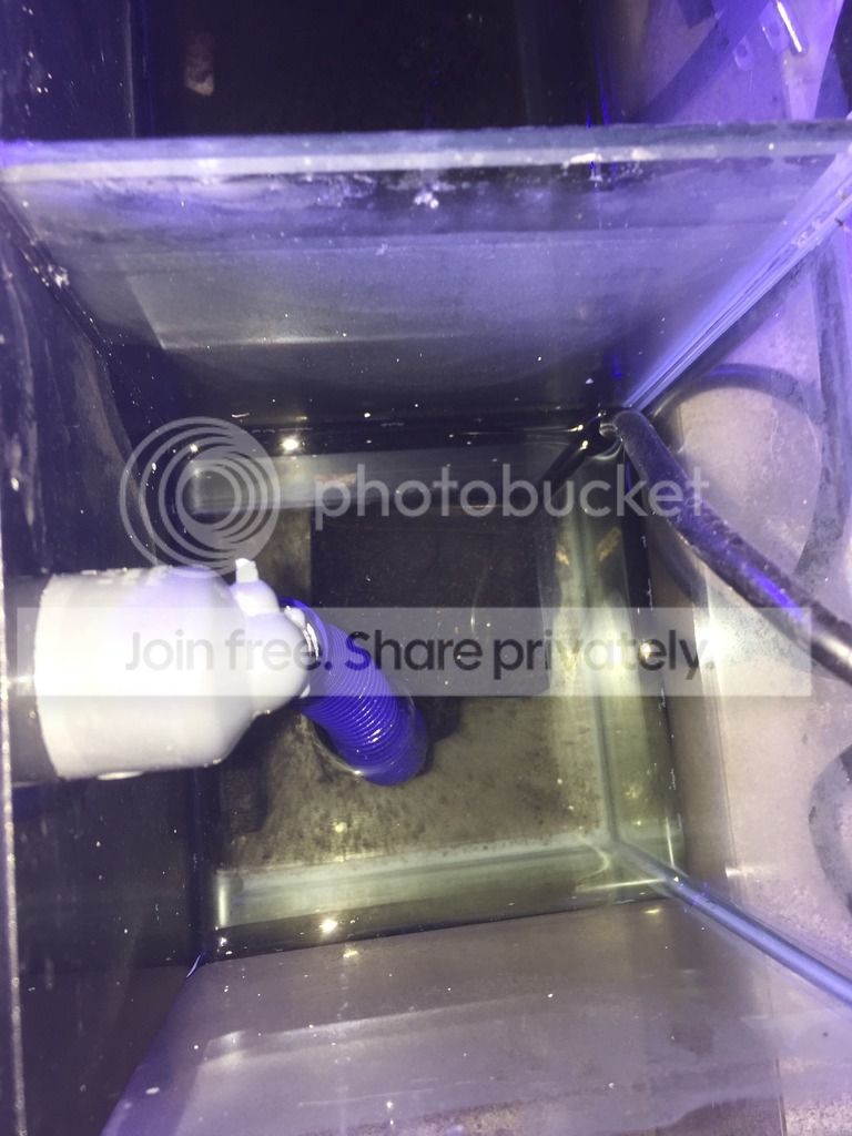 help jbj 20g frag tank skimmer recommendations? | Reef2Reef