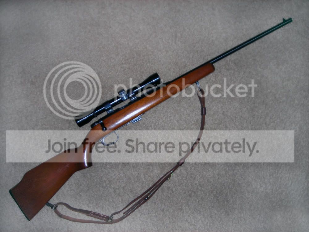 Finding a load for my Rem 581 (semi range report with pics) > 10/22 ...
