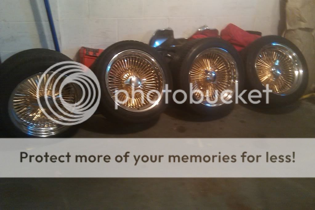 17" gold center double stamped daytons