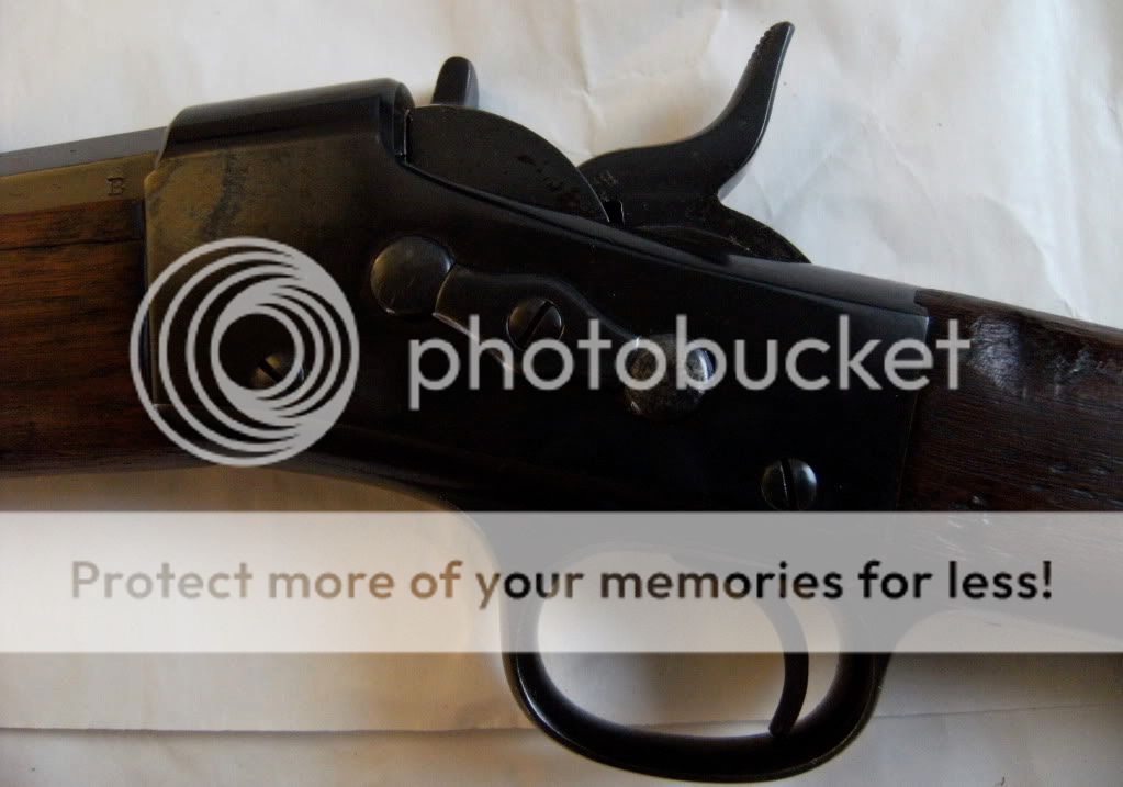 1879 Argentine Rolling Block | Gunboards Forums