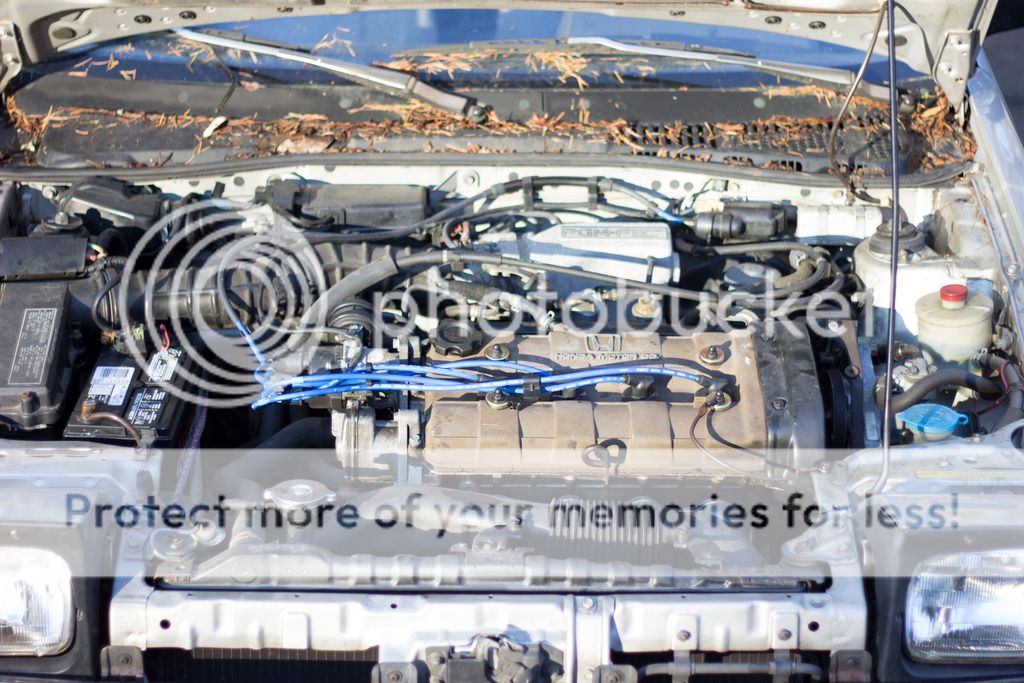 87 Acura Integra RS | ClubRoadster.net